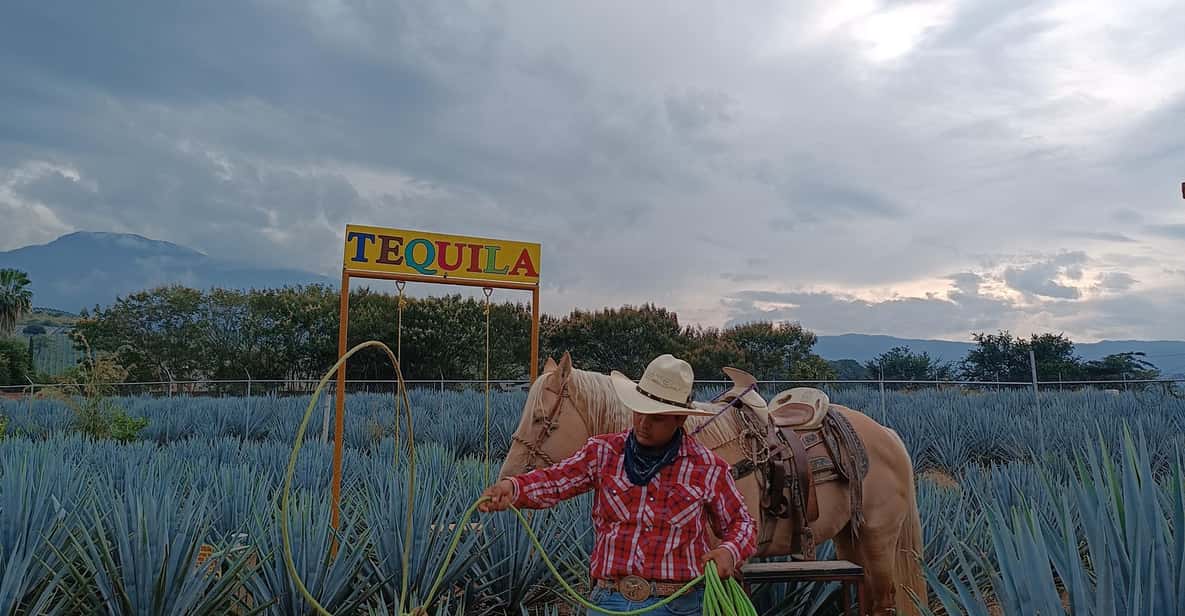 Get on Chile: know everything about tequila in "La Rienda" | GetYourGuide