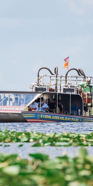 Miami: Wild Everglades Airboat Ride and Gator Encounters | GetYourGuide