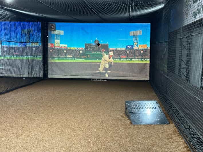 Kobe: Koshien Guided Tour - Japanese Baseball Iconic Ground | GetYourGuide