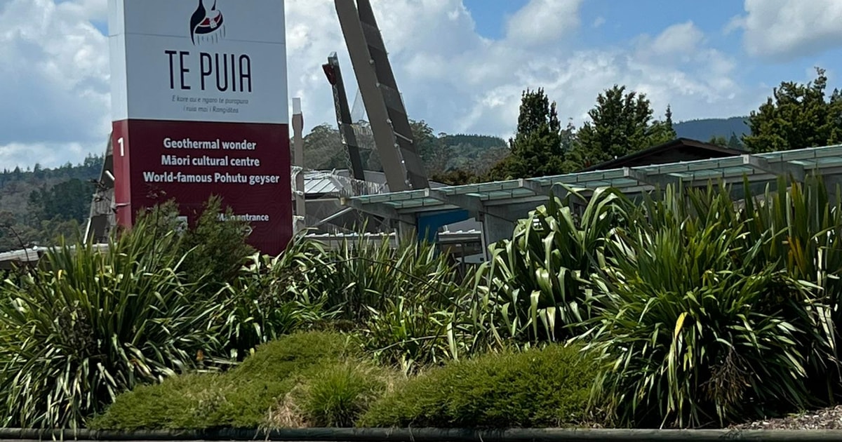 Rotorua dagtrip om Te Puia en Redwood Tree Walk te ervaren | GetYourGuide