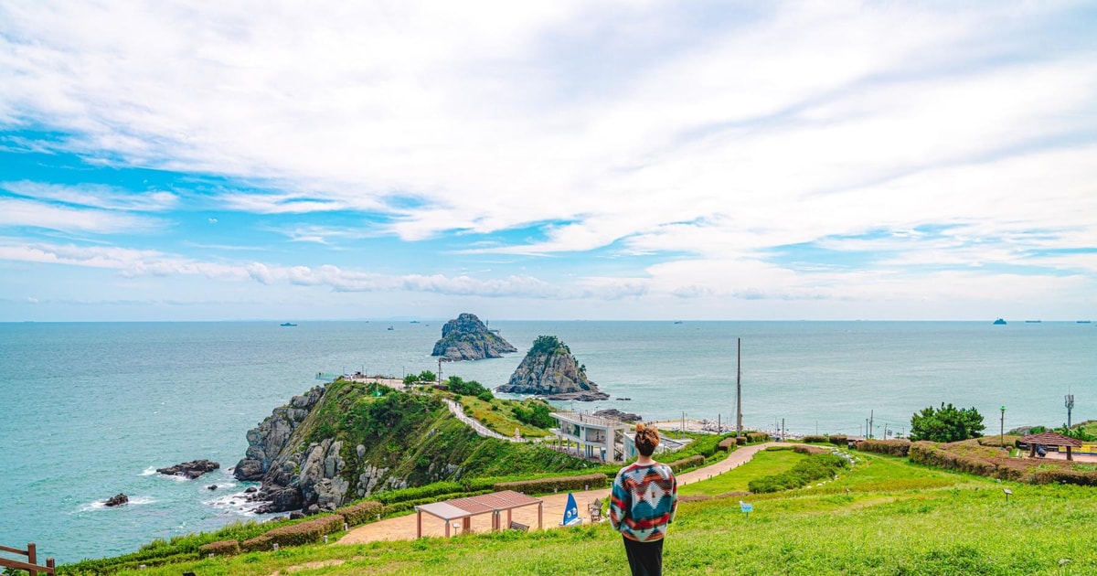 Excursão Spring Flower Busan Cherry Blossom | GetYourGuide