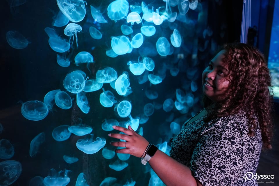 Ticket to the largest Oceanarium of the Mascarene Islands | GetYourGuide