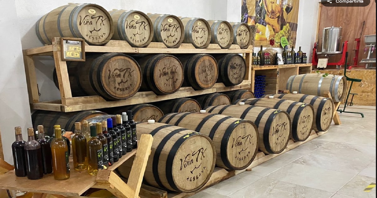 Querétaro in Wine and Cheese: Discover Tequisquiapan and its Flavor ...
