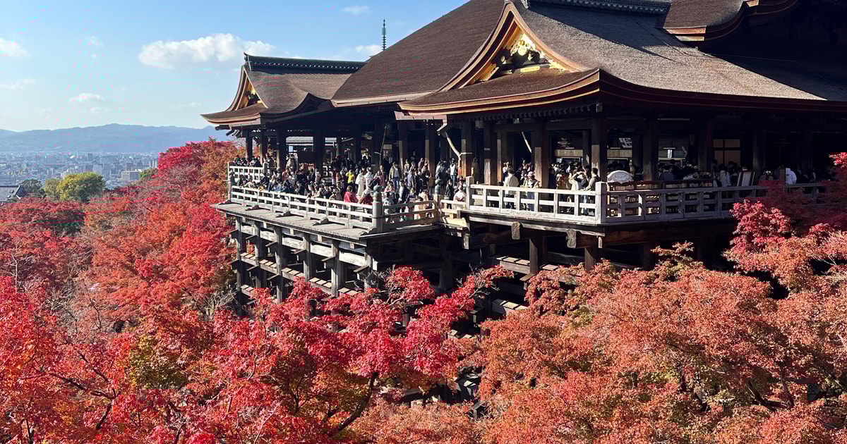 Explore the best of Kyoto: Temples, history and tradition in Spanish ...