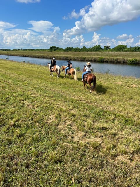 Miami: Horseback riding | GetYourGuide