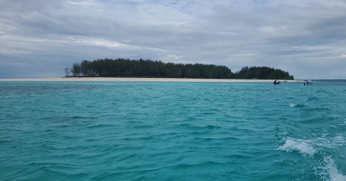 Mnemba Snorkeling Tour | GetYourGuide