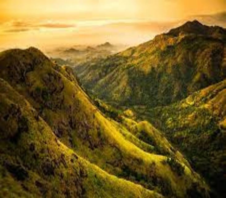 From- Nuwara Eliya Day Trip to Ella Highlights Tour | GetYourGuide