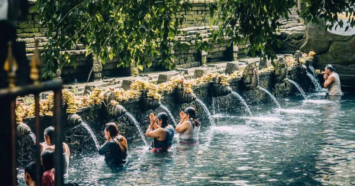 Ubud: Monkey Forest, Waterfall, Water Temple & Rice Terrace | GetYourGuide