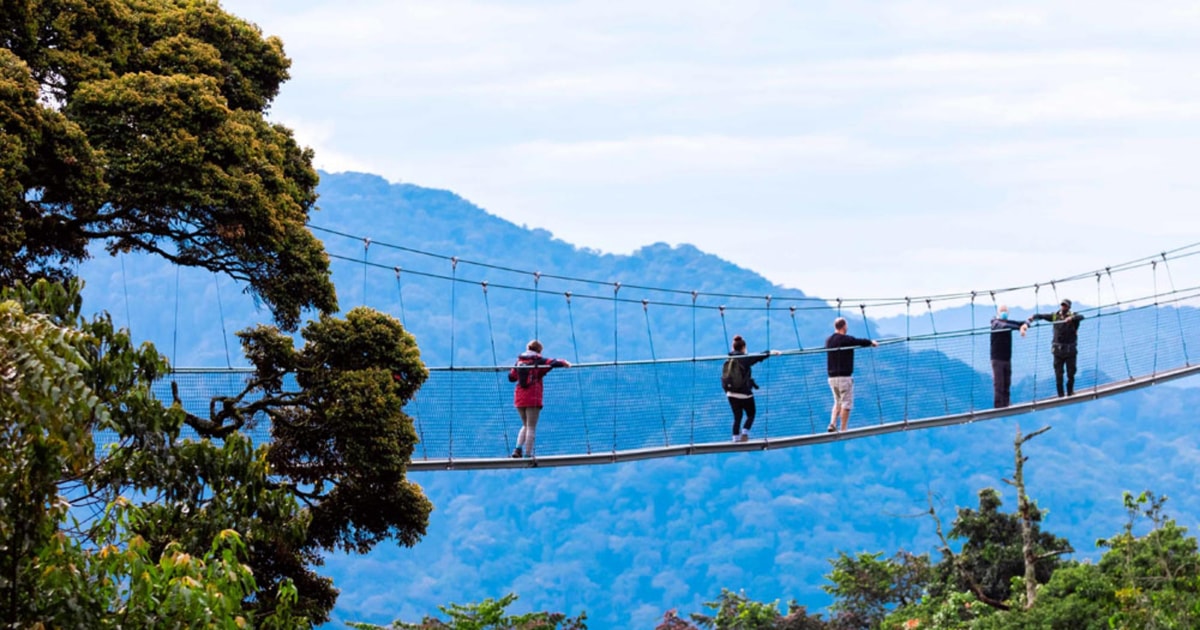 Von Kigali aus: Tagestour zum Canopy Walkway im Nyungwe Forest ...