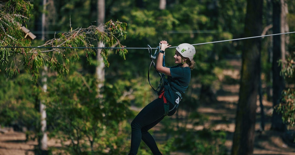 Busselton: Forest Adventure with Zip Lining and Rope Course | GetYourGuide