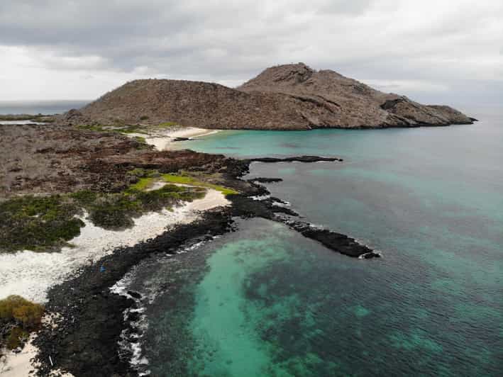 From Pto Ayora: Day tour to Floreana & Cormorant Point | GetYourGuide