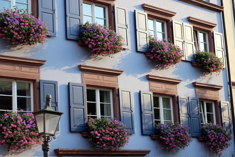 Freiburg: Private Architecture Tour with a Local Expert | GetYourGuide