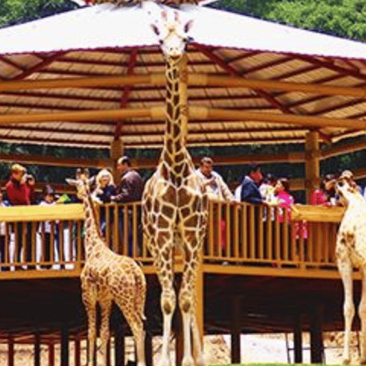 From Querétaro Bioparque Estrella | GetYourGuide