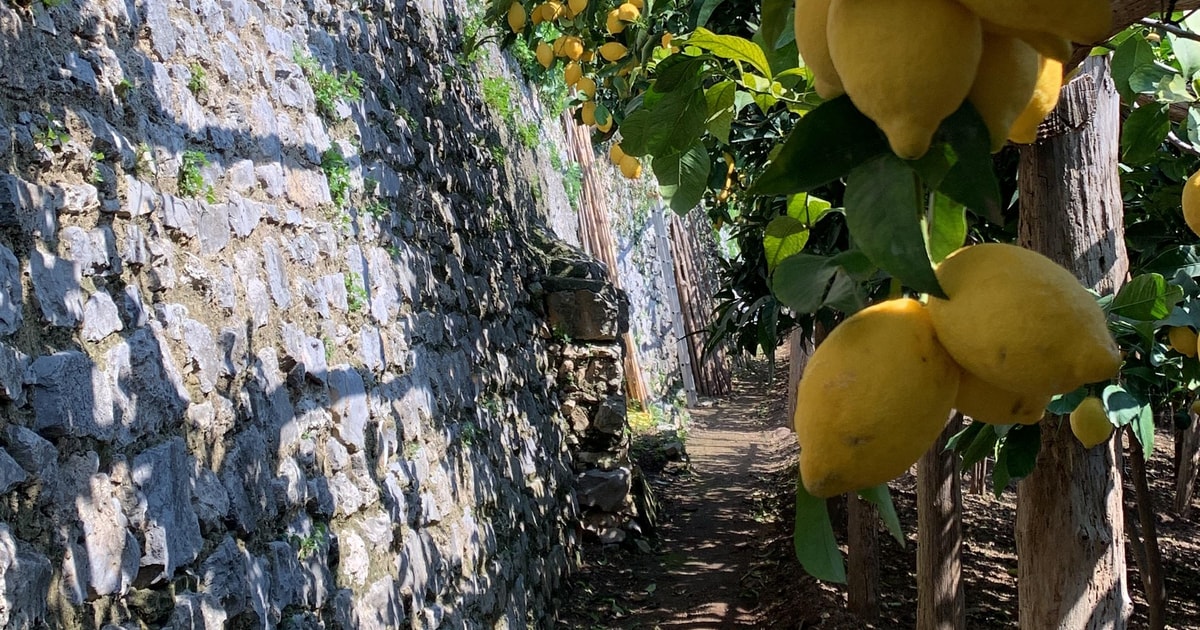 Sentiero dei Limoni: Wycieczka cytrynowa z degustacją na Wybrzeżu ...