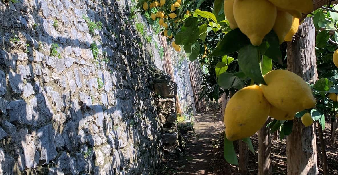 Sentiero dei Limoni: Tour del Limón con degustación en la Costa ...