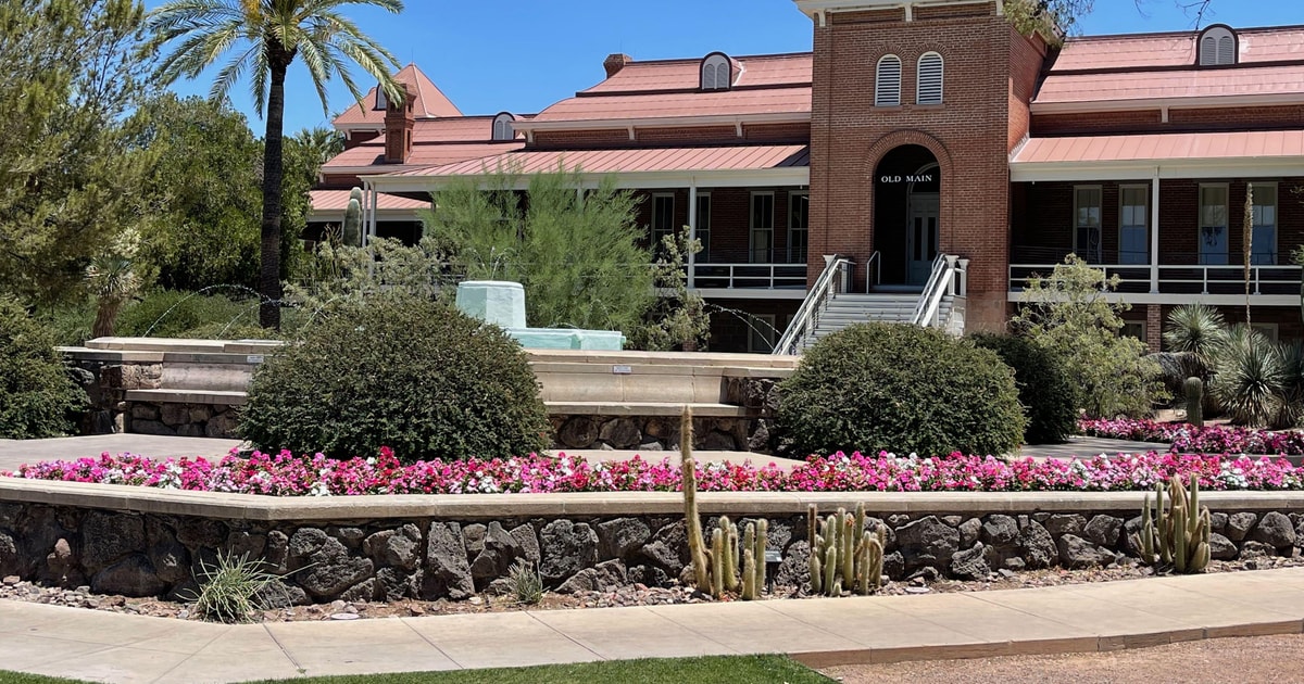 Tucson: University of Arizona History Walking Tour w/ Guide | GetYourGuide