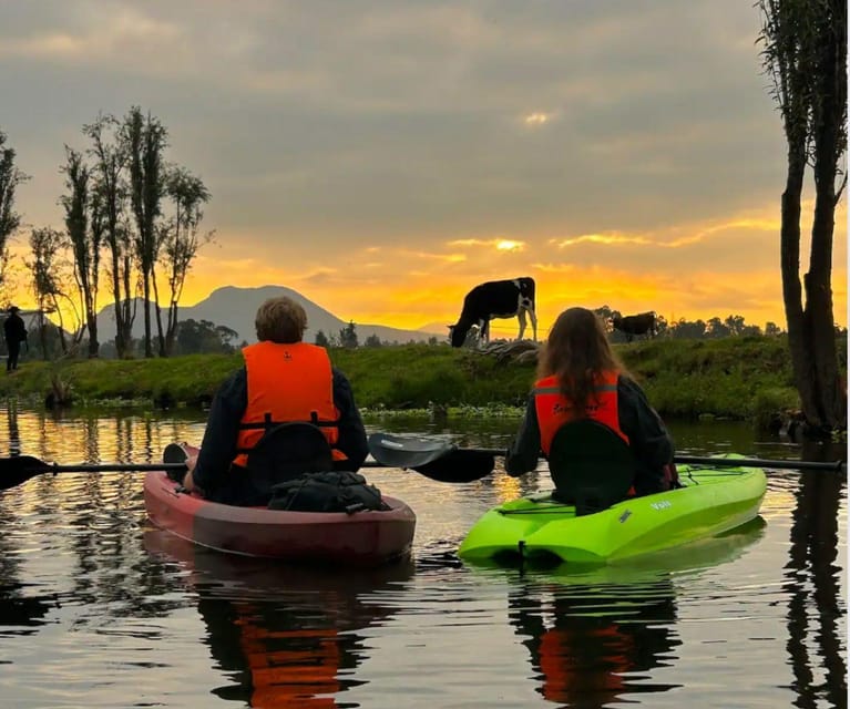 Amanecer en Xochimilco en Kayak | GetYourGuide