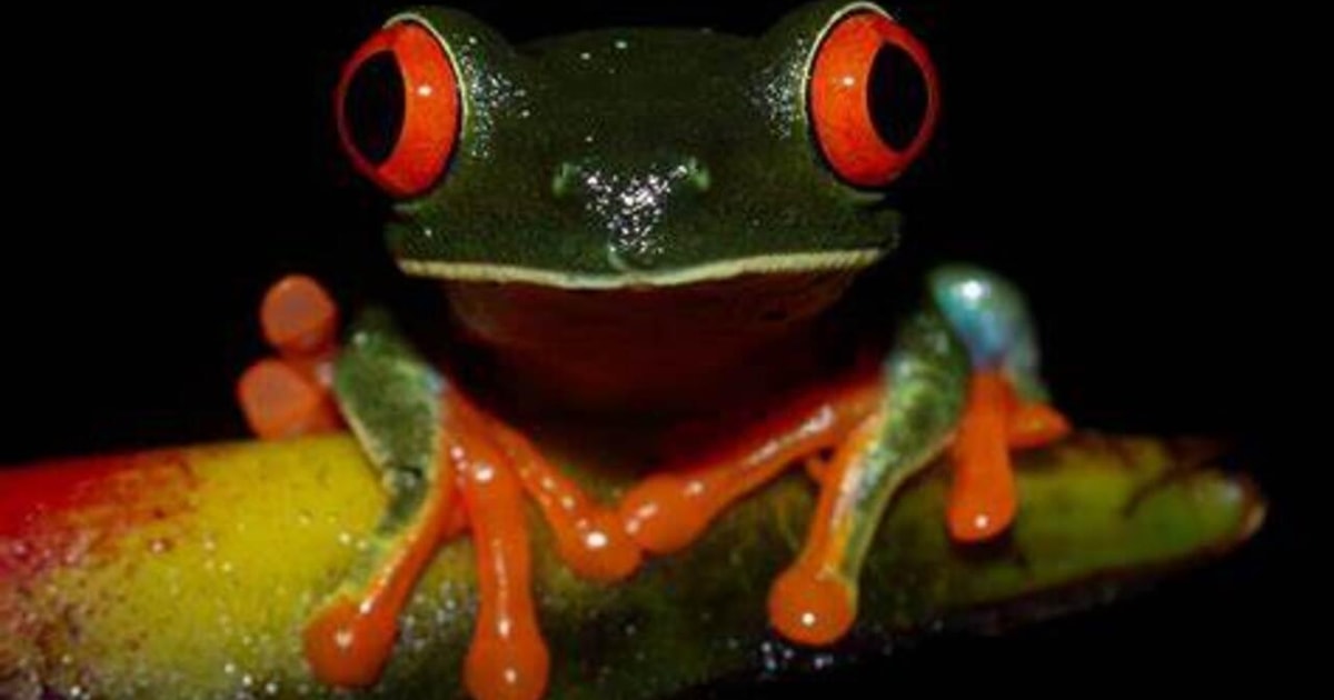 Night Walk Tour | GetYourGuide