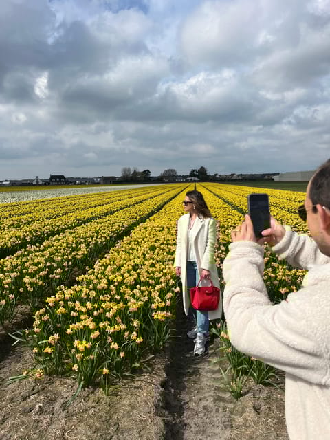 Lisse: Private Tulip Fields Tour with a Local Guide | GetYourGuide