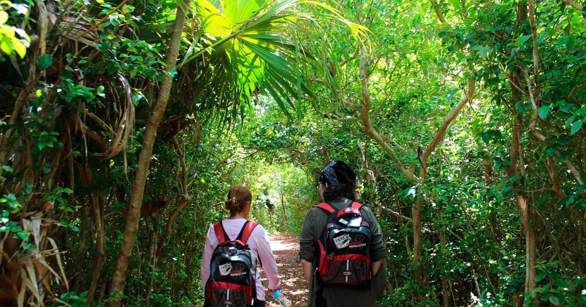 Bermuda: Bermuda Hidden Gems Sommerexkursion | GetYourGuide