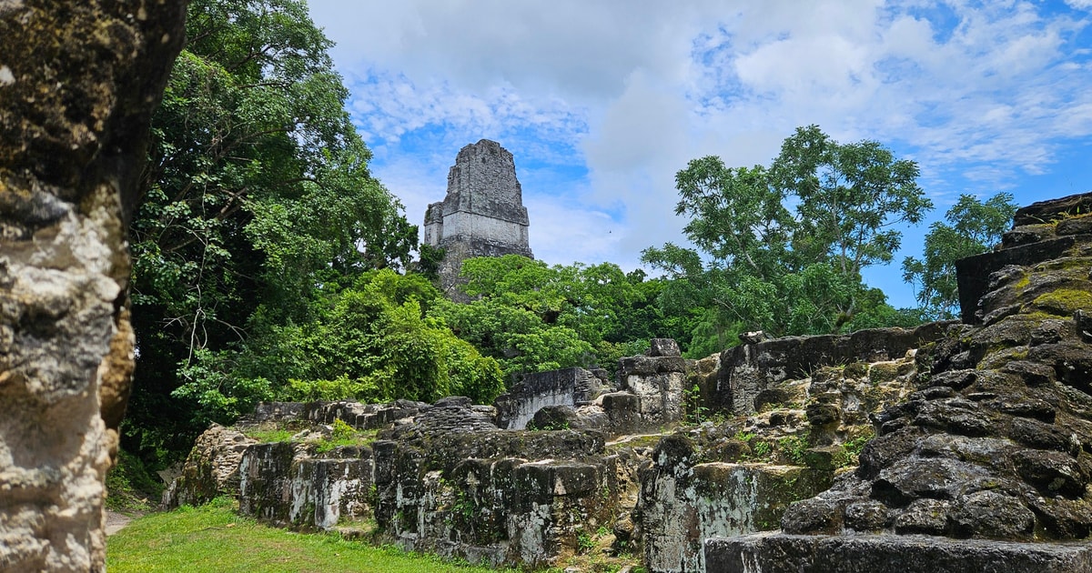 Din Flores: Turul colectiv exclusiv Tikal | GetYourGuide
