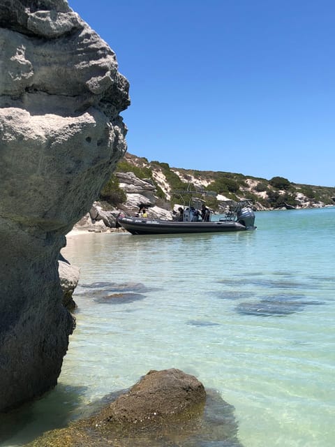 1-hours Sunset Betta boat Tour, Langebaan Lagoon | GetYourGuide