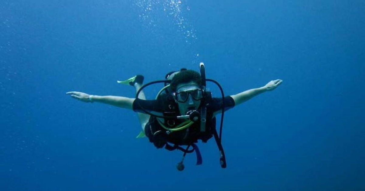 Akumal: Experiencia de inmersión profunda | GetYourGuide