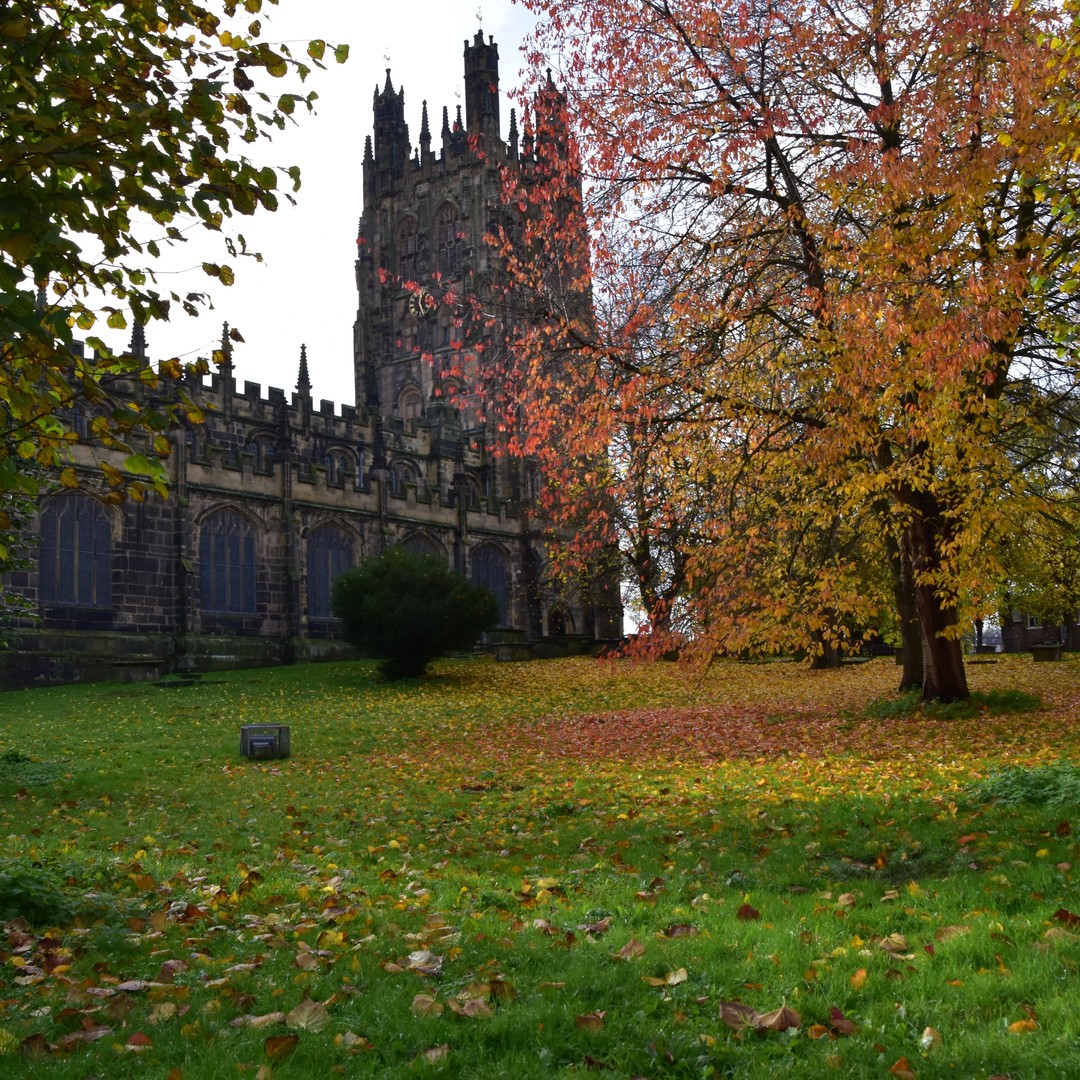 Wrexham: Welcome to Wrexham AFC Tour with Local Guide | GetYourGuide
