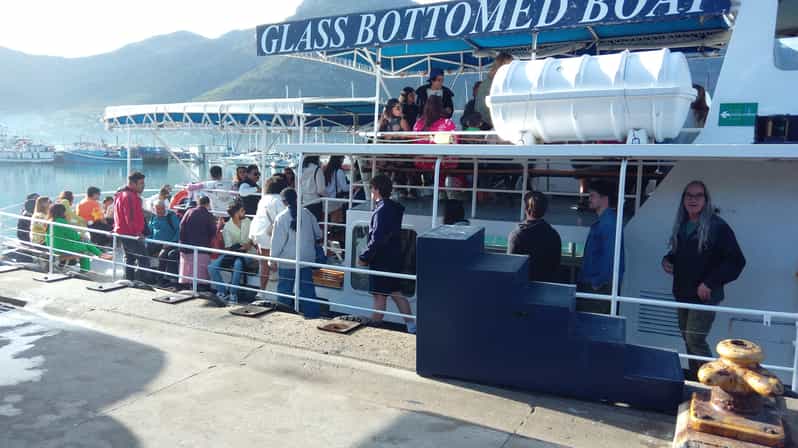 Cape Town: Halvø-tur med valgfri bådtur til Seal Island ... | GetYourGuide