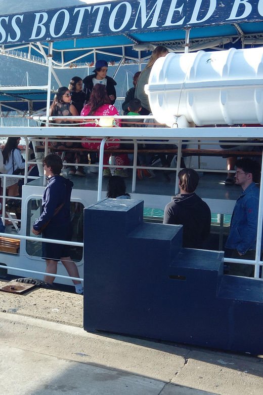 Cape Town: Halvø-tur med valgfri bådtur til Seal Island ... | GetYourGuide