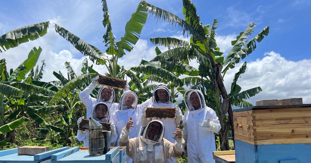 Bee Farm Tour & Honey Tasting | GetYourGuide