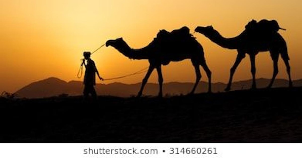 Marrakech: Agafay Desert Sunset Tour with Hotel Pickup | GetYourGuide