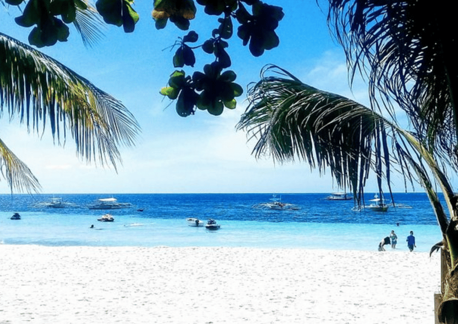 Bohol Panglao Tour | GetYourGuide