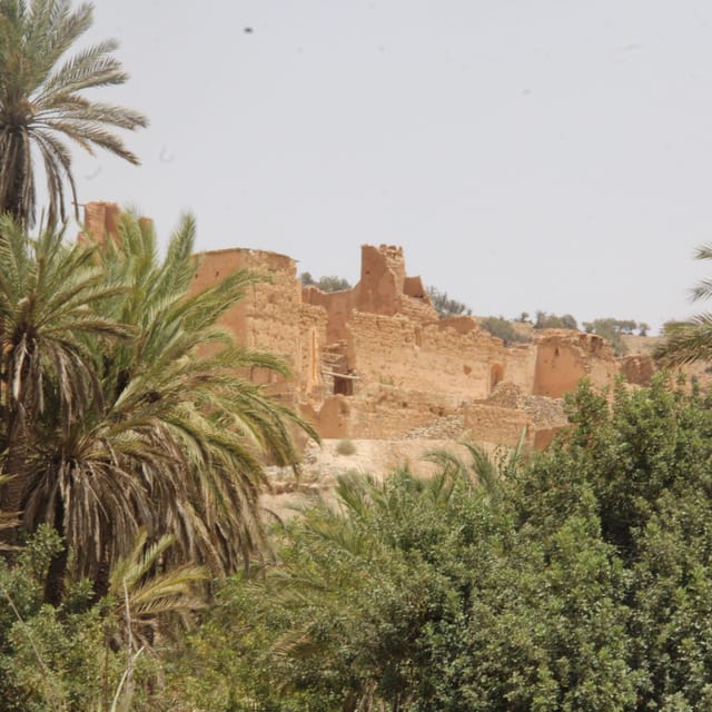 Desde Agadir: Excursión de un día a Taroudant y el Oasis de Tiout ...