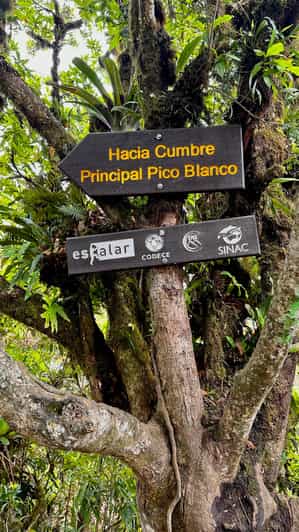 Pico Blanco Yürüyüşü: Nefes Kesen Manzara - Bir Günlük Tur | GetYourGuide