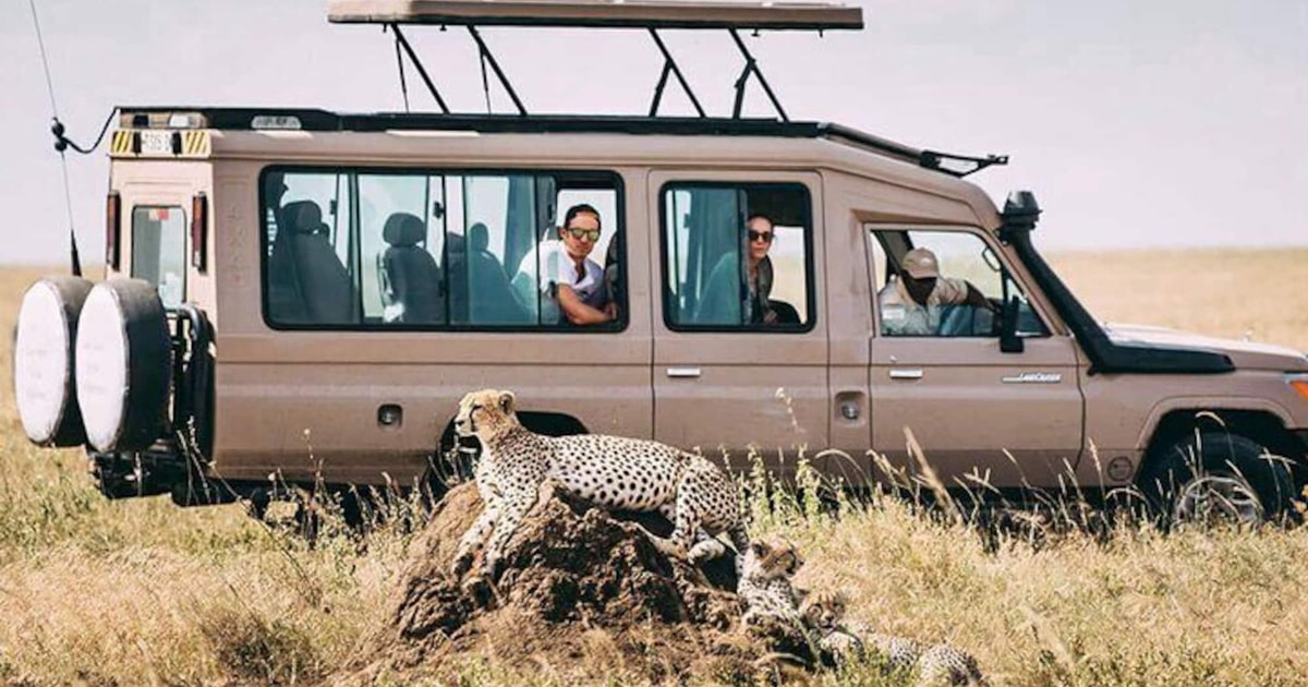 Safari en globo de 3 días por el Serengeti y el Ngorongoro | GetYourGuide