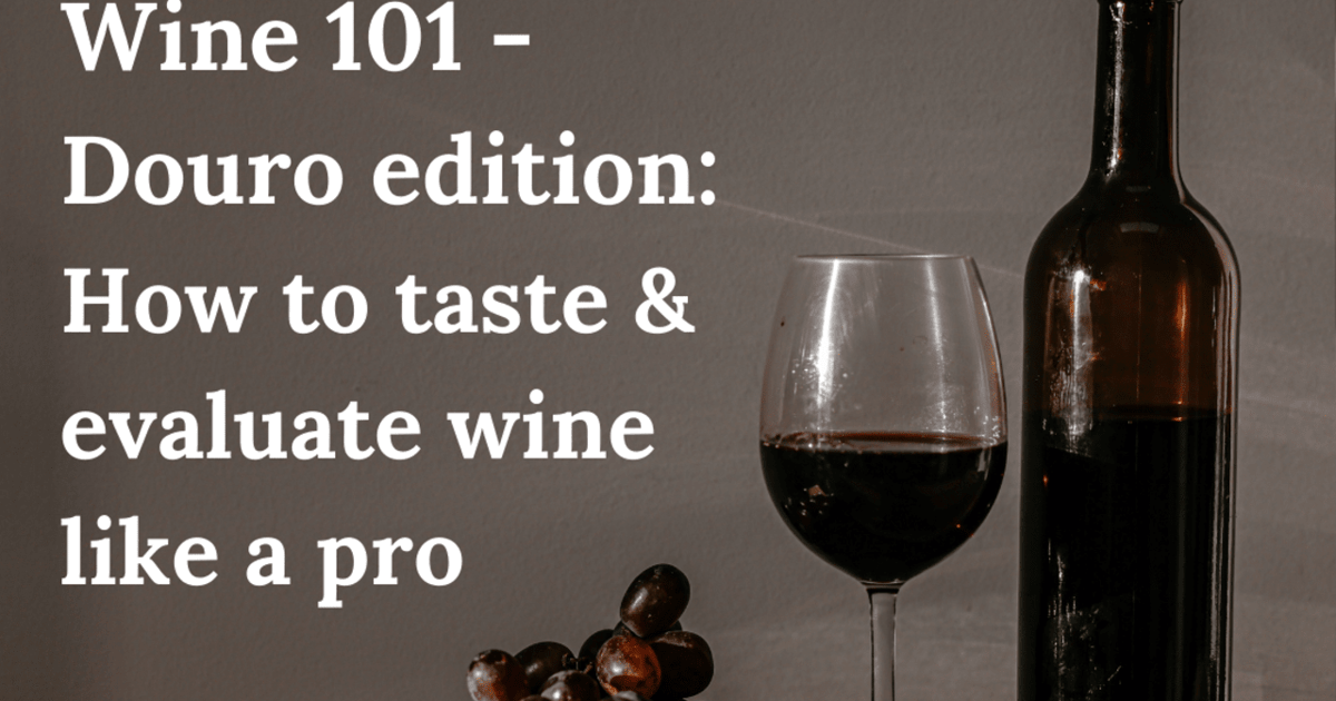 Wine 101 - Douro: How to taste & evaluate wine like a pro | GetYourGuide