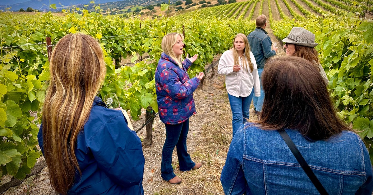 Santa Barbara: Small-Group Wine Tour to Private Locations | GetYourGuide