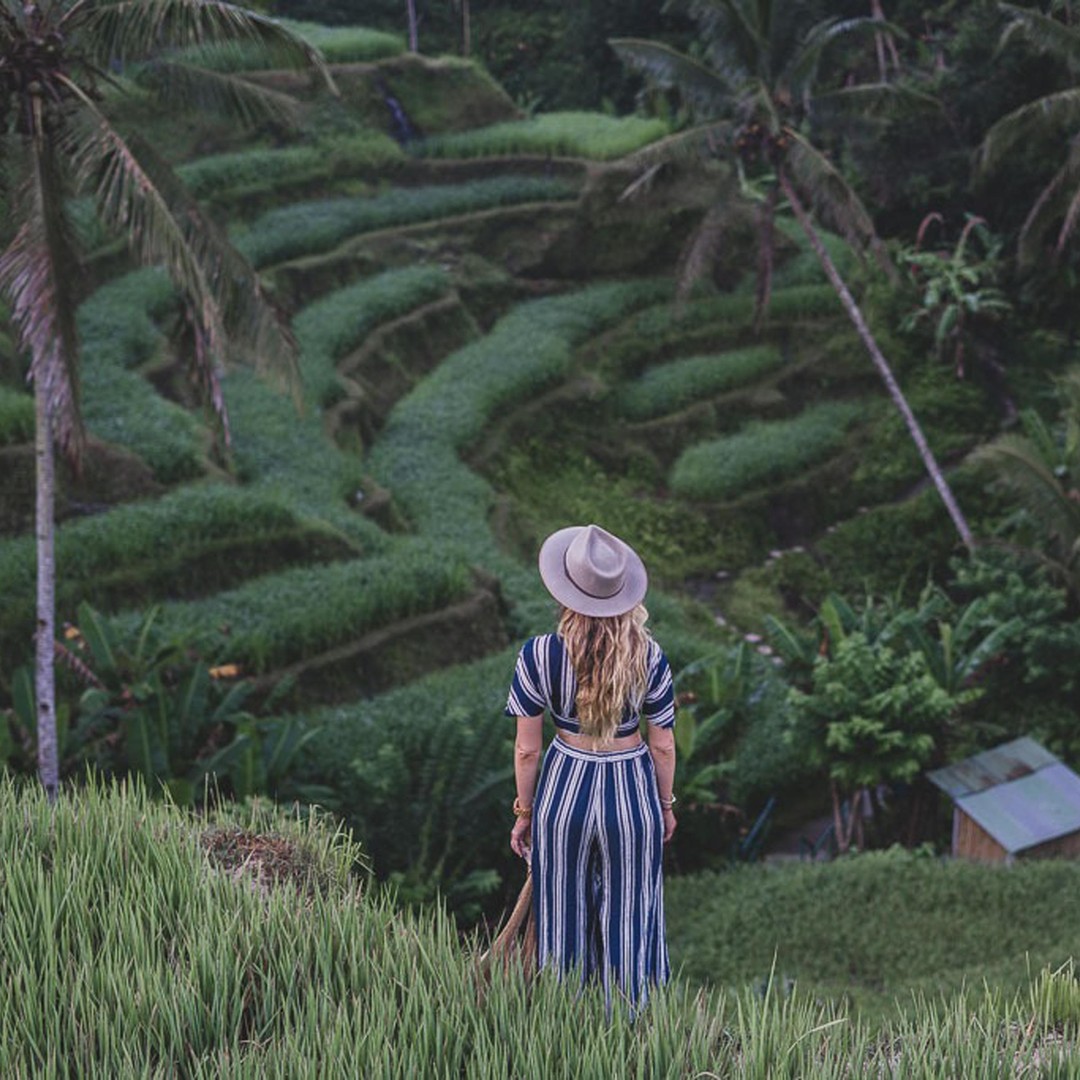 Ubud: tour privato alla foresta delle scimmie, alle terrazze di riso e alla cascata | GetYourGuide