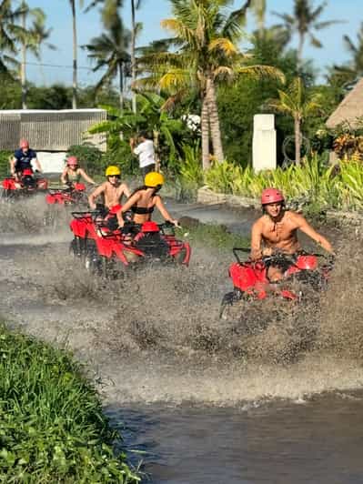 Bali: Ubud Monkey Forest & ATV Quad Bike with Meal | GetYourGuide