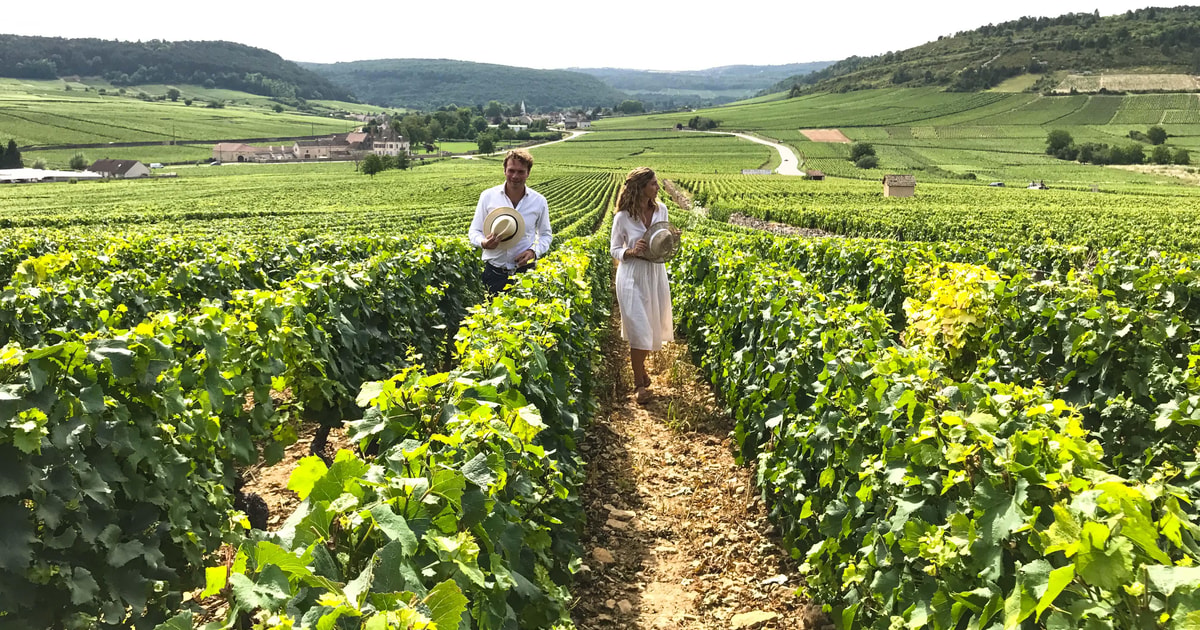 From: Dijon/Beaune: Burgundy Region Winery Tour with Lunch | GetYourGuide