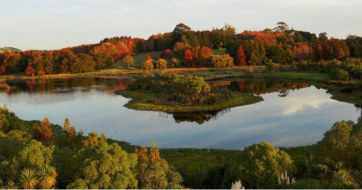 Auckland Nature Tour | GetYourGuide