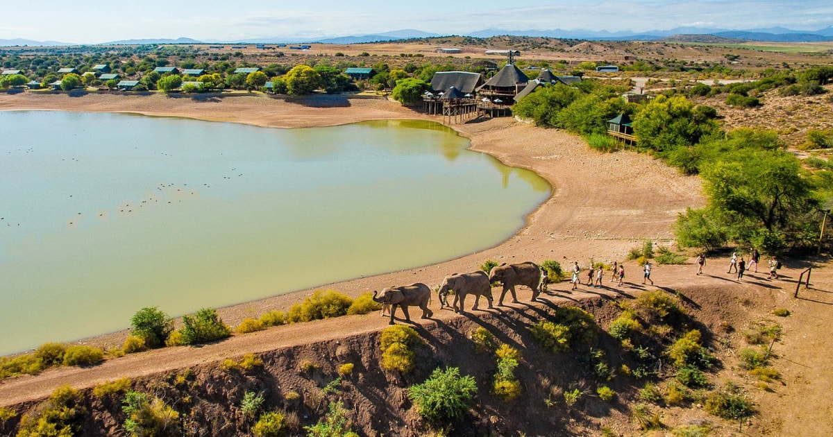 From Cape Town: South African Wildlife and Safari 2-Day Tour | GetYourGuide