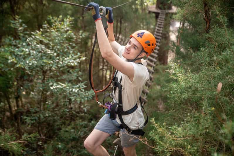 Canberra: Majura Pines Tree Ropes Course | GetYourGuide