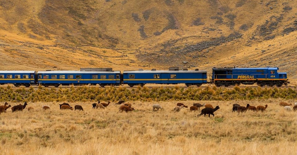 Lake Titicaca in luxury train ending in Arequipa for 3 Days | GetYourGuide