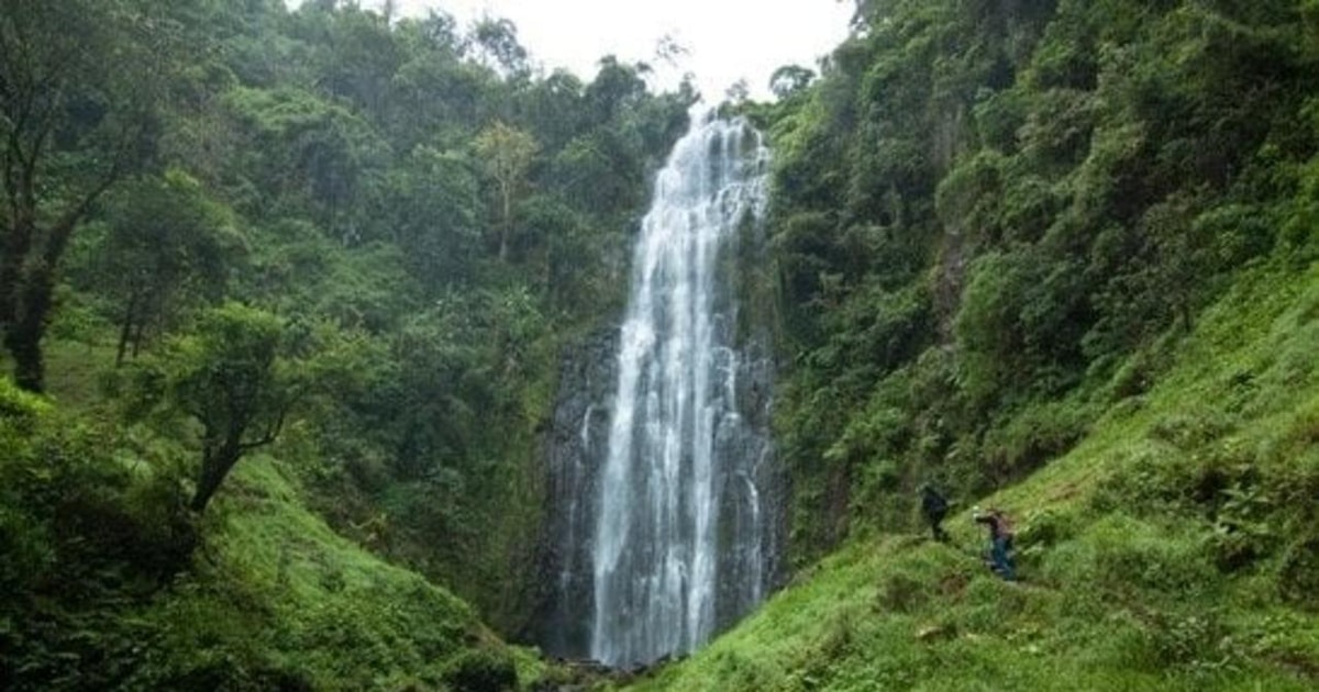 Culture & History Tour Of Chagga Cave And Ndoro Waterfall | GetYourGuide