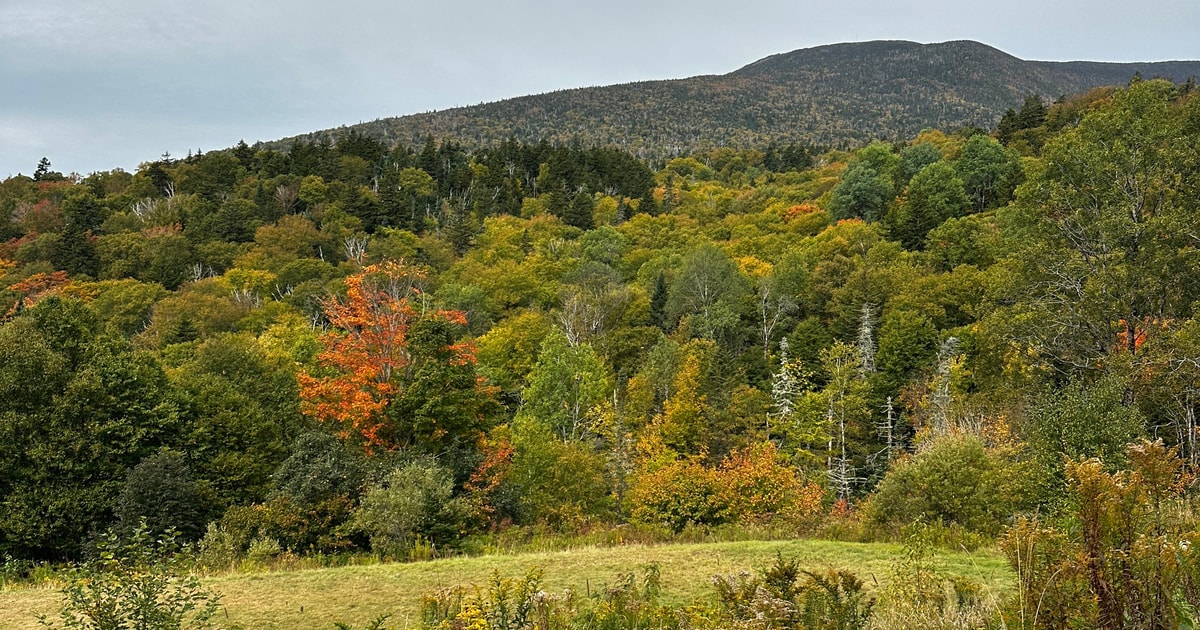 Boston: Excursión de 4.000 pies a las Montañas Blancas - Monte ...