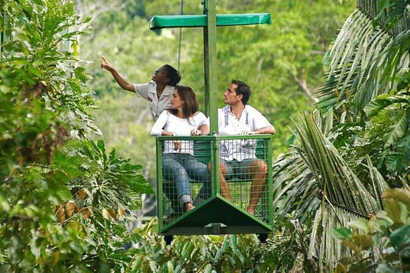 Panama City: Gamboa Aerial Tram & Sloth Sanctuary Tour | GetYourGuide