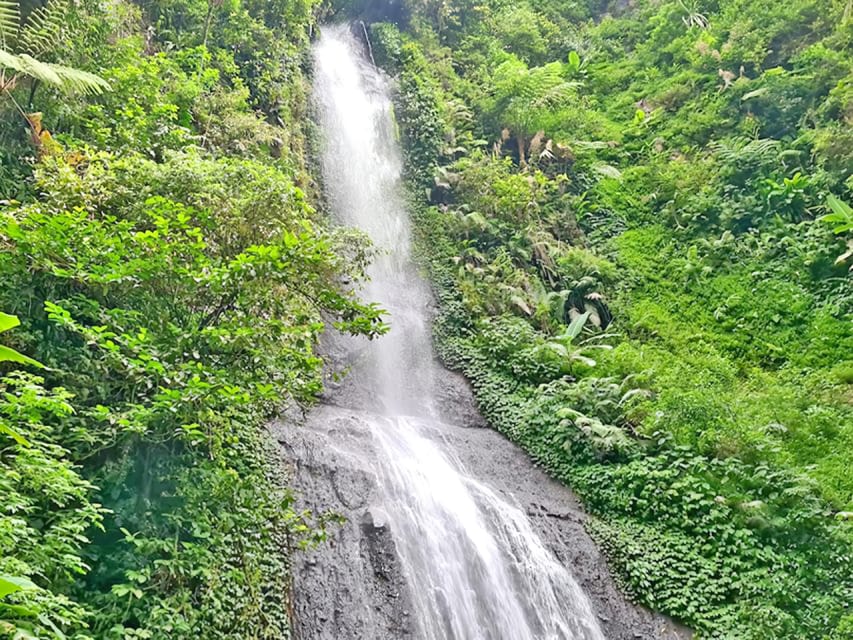 Jakarta : Safari Park Show, Tea Plantation & Waterfall | GetYourGuide