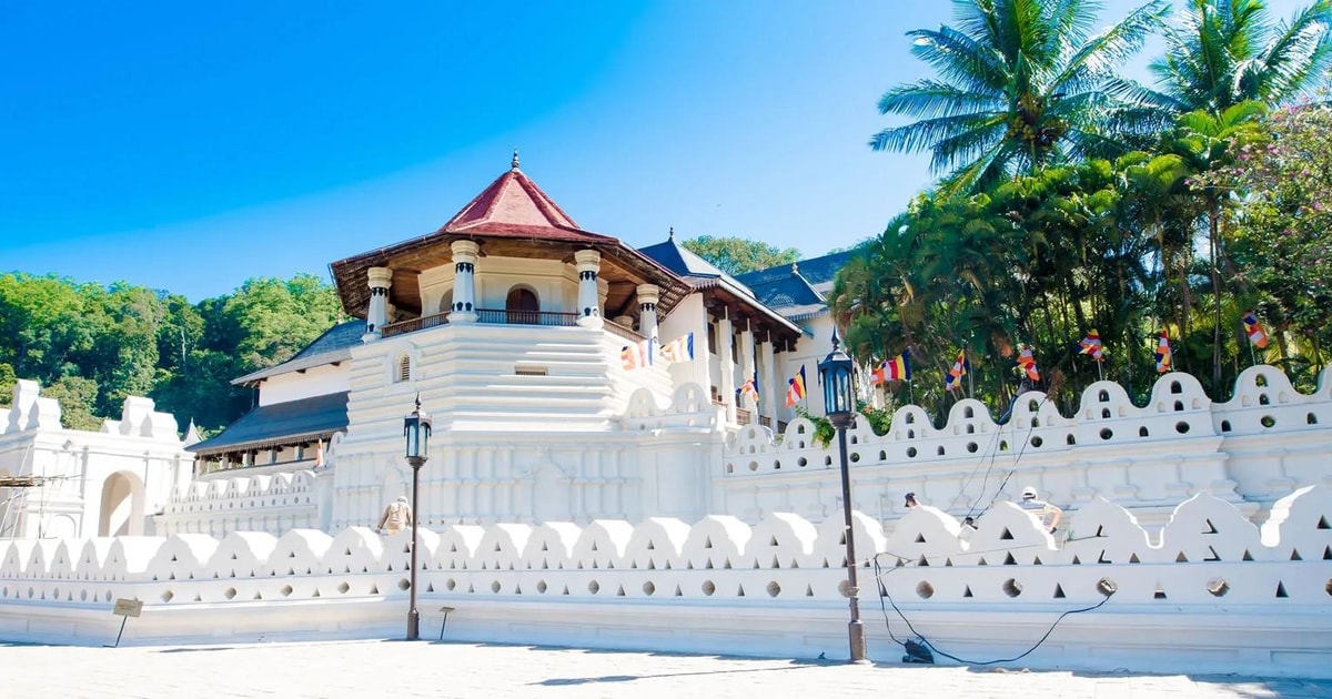 From Colombo : Day Trip to Kandy/ Pinnwala/ Royal Gardens | GetYourGuide